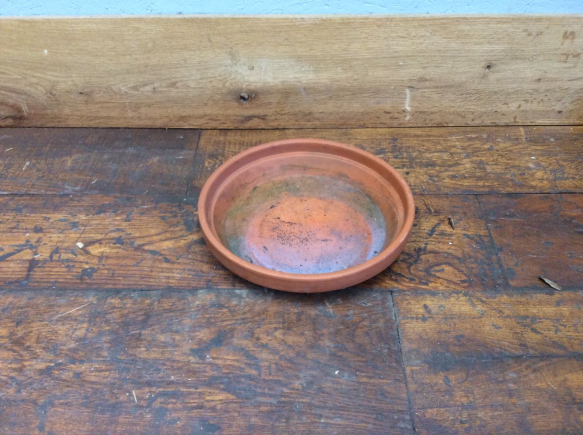 Terracotta Plant Pot Dish - Authentic Reclamation