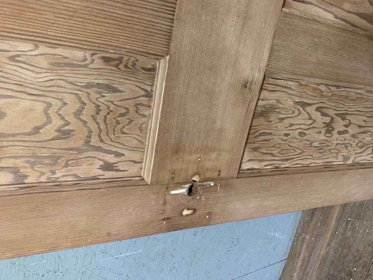 Stripped Small Pine Door - Authentic Reclamation