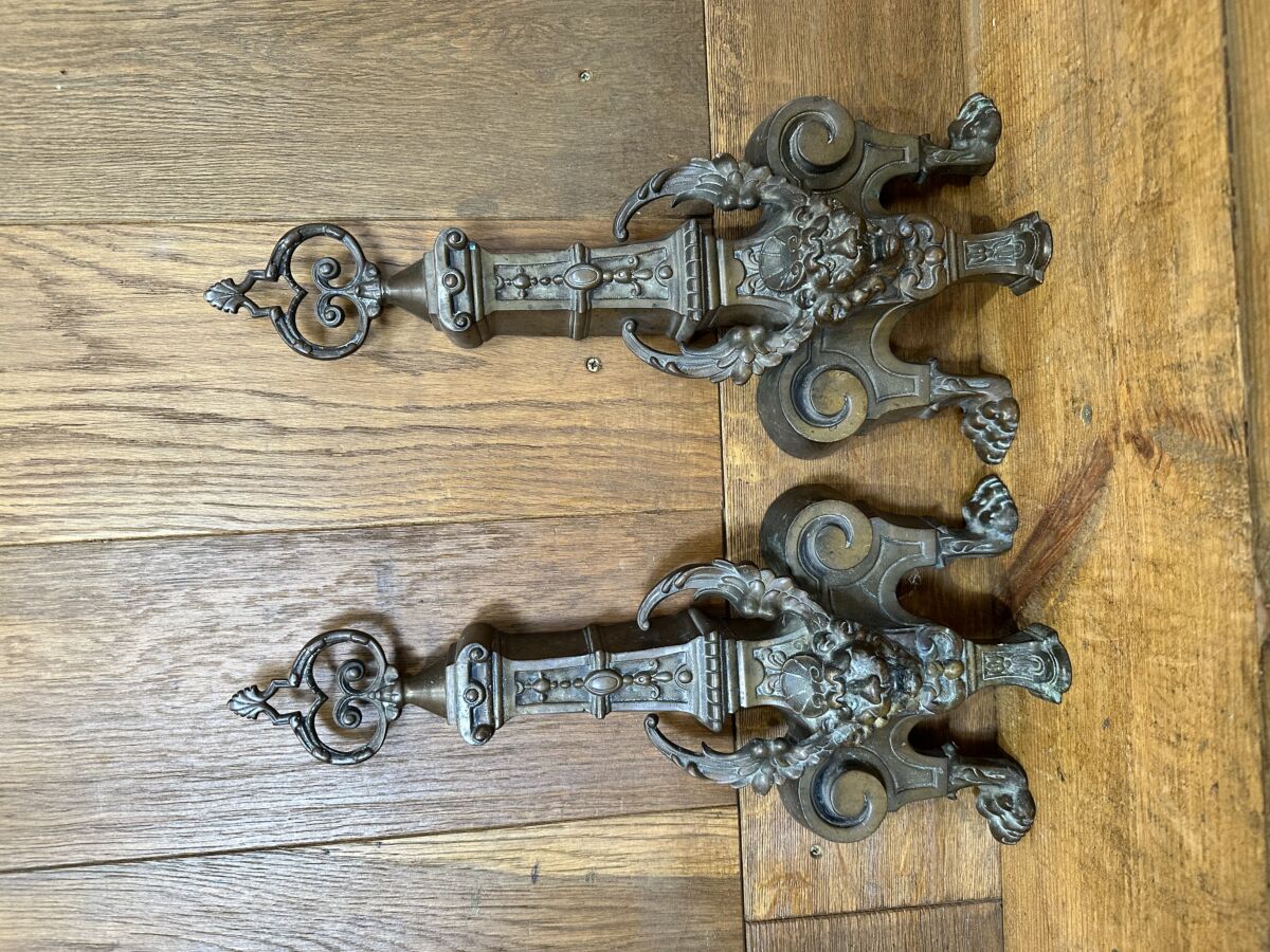 Stunning Fire Dog Fronts with Lion Heads - Authentic Reclamation