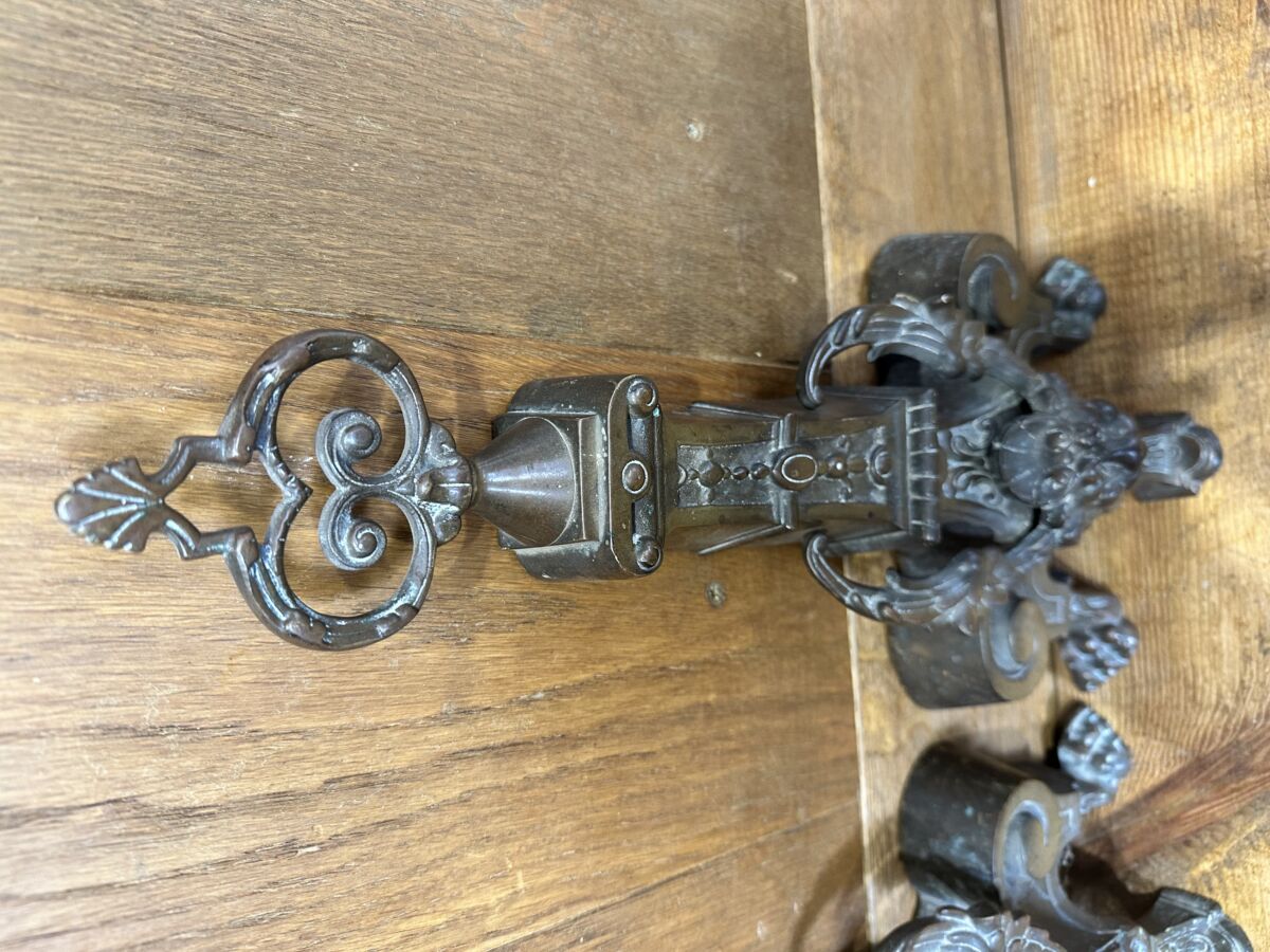 Stunning Fire Dog Fronts with Lion Heads - Authentic Reclamation