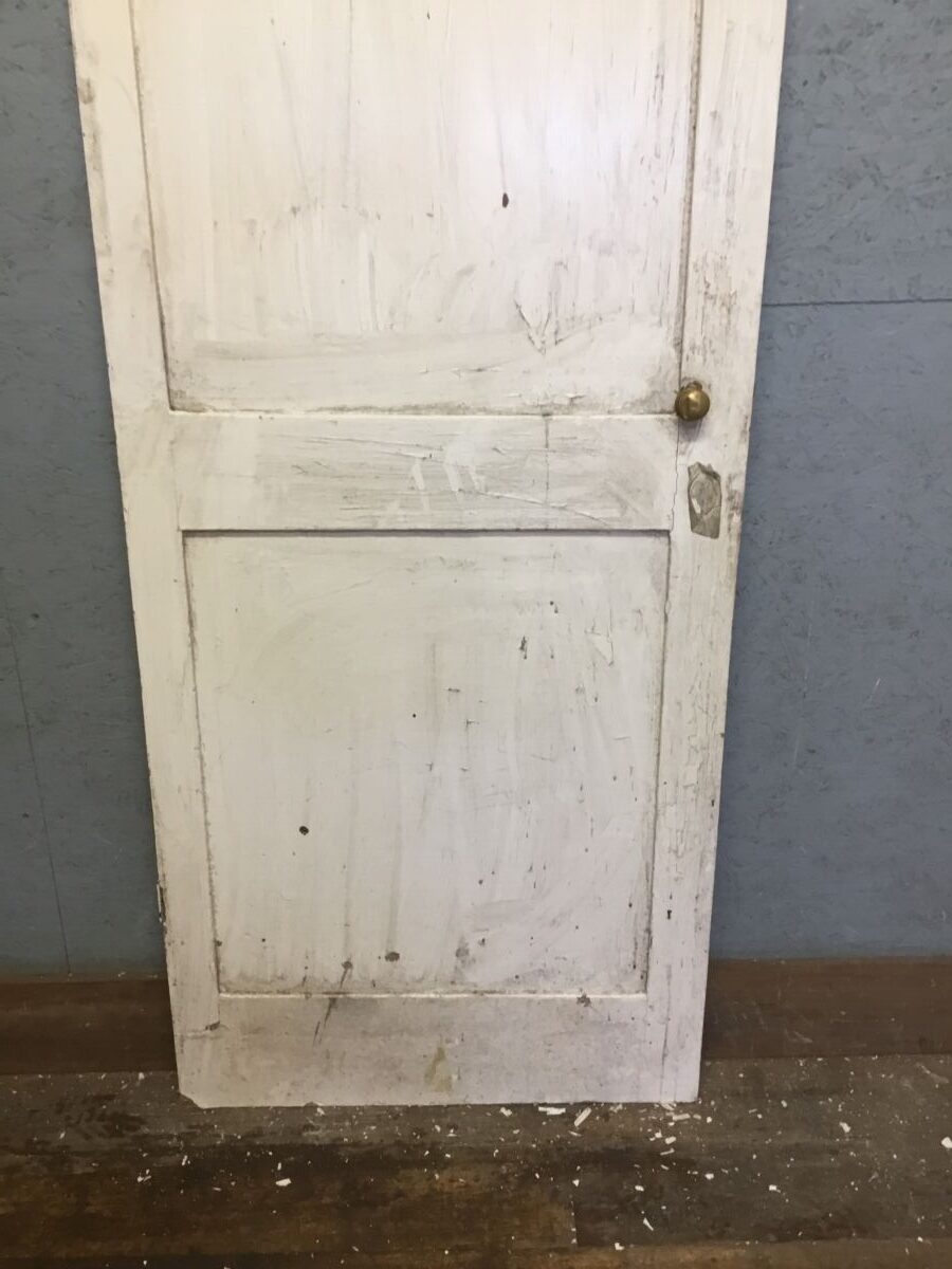 Reclaimed Painted 1 Over 1 Door - Authentic Reclamation
