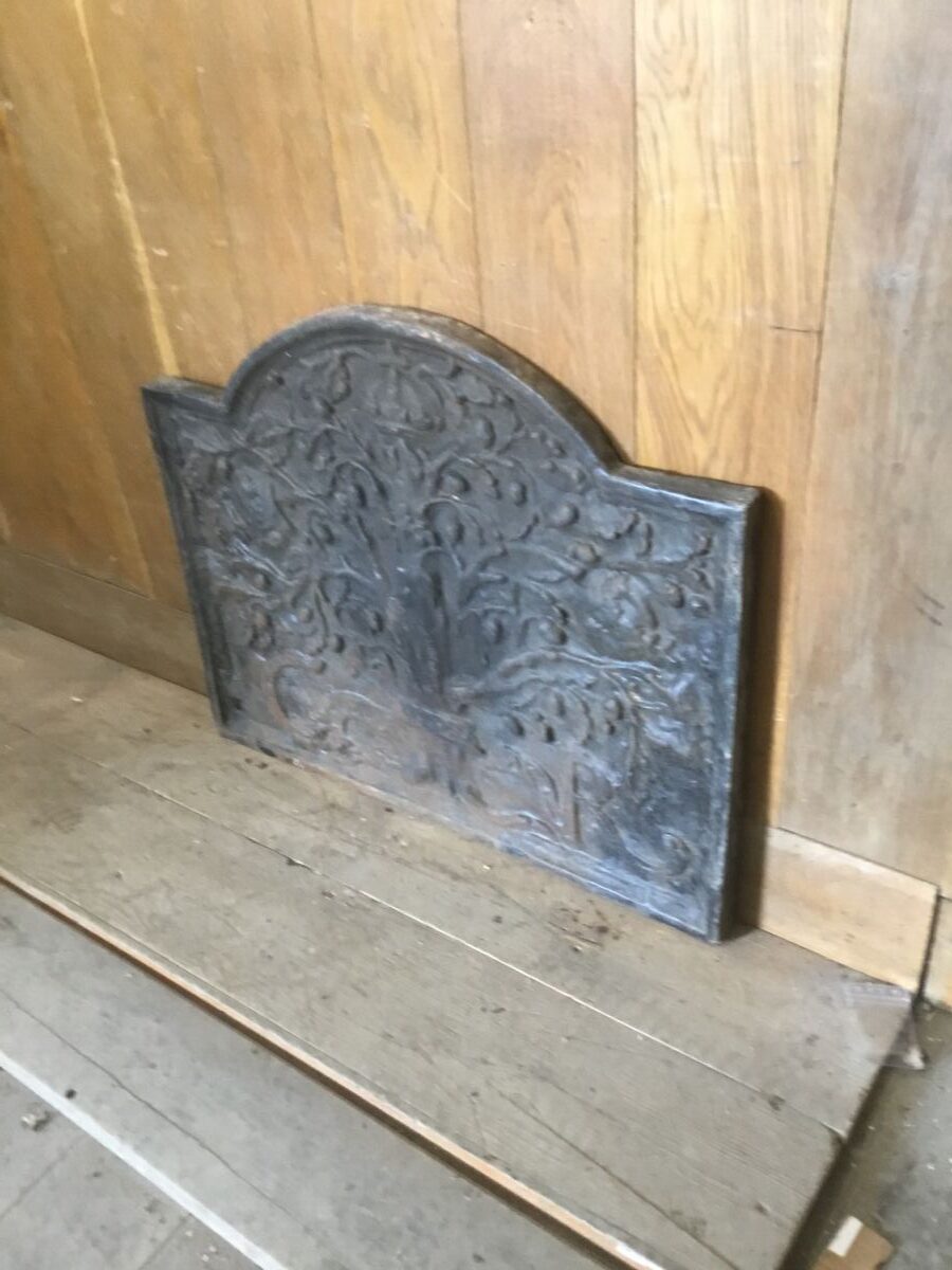 Oak Tree Fire Back