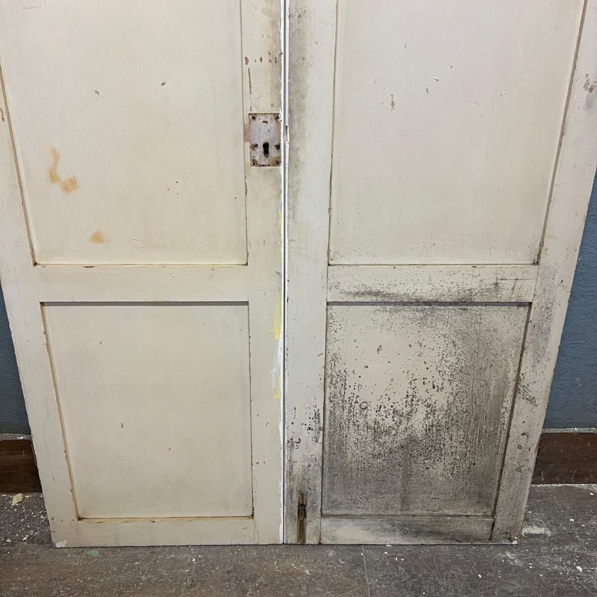 Cream Painted Double Doors