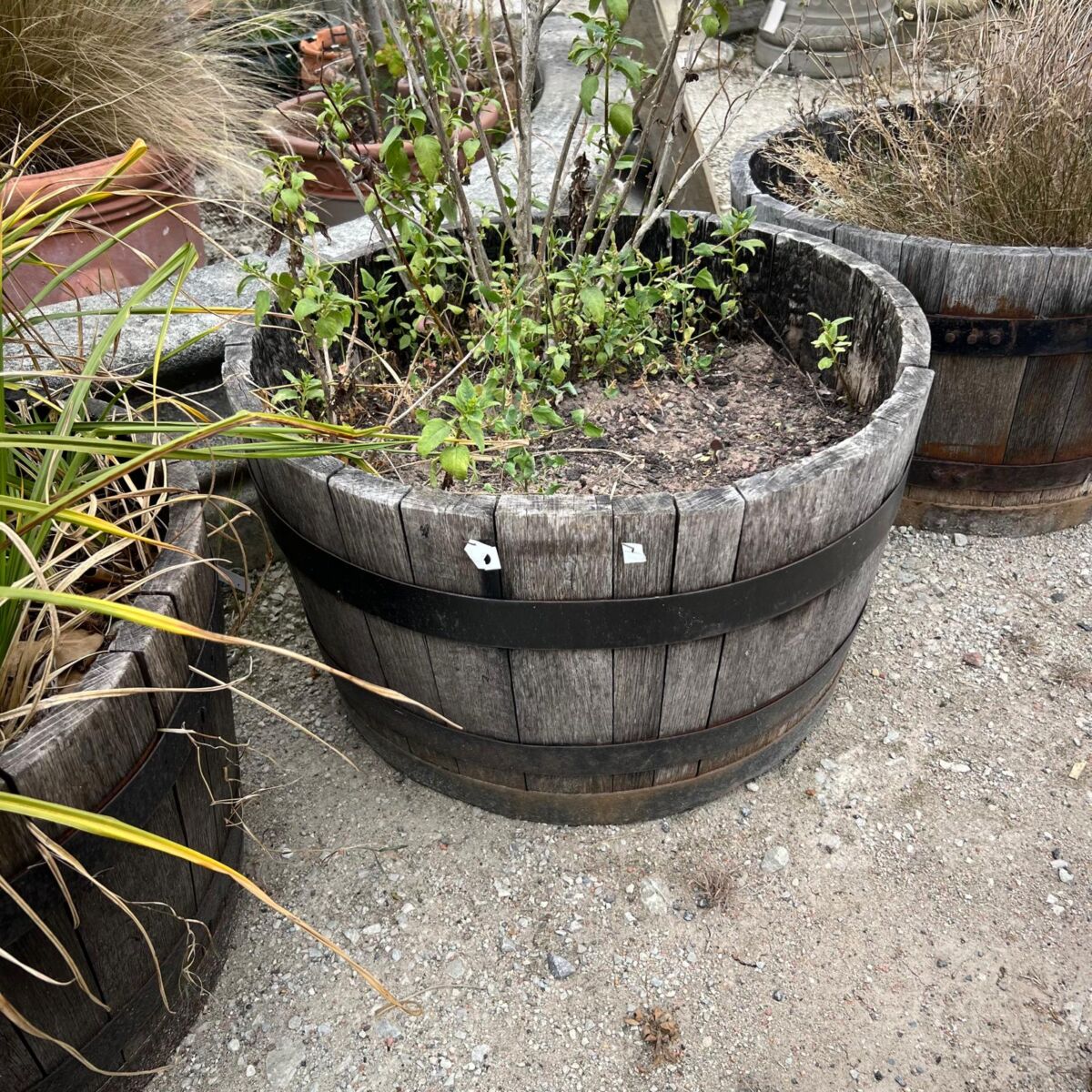 Reclaimed Barrel Planters